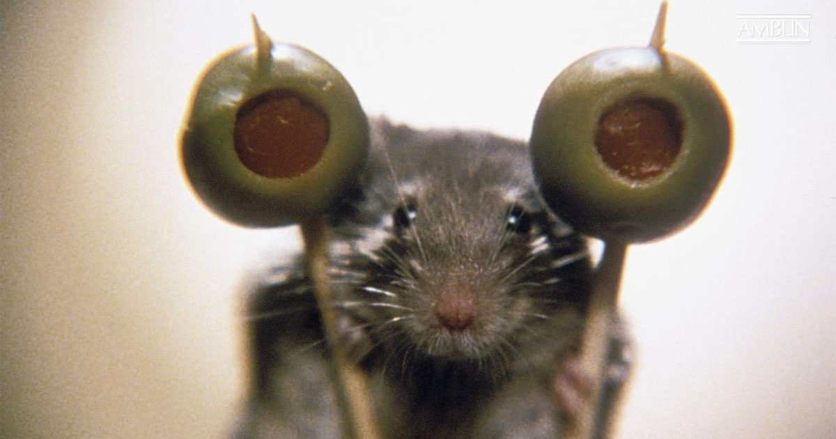 The Worst 74 – Mouse Hunt | The Confusing Middle