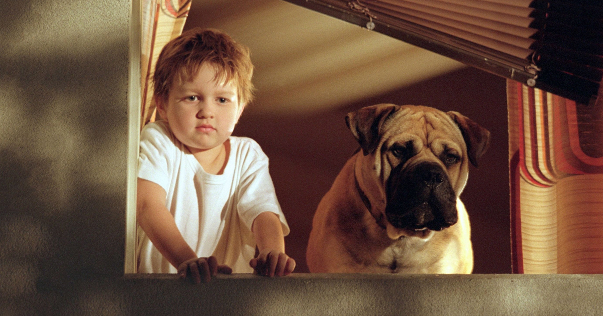 The Worst 66 – See Spot Run | The Confusing Middle